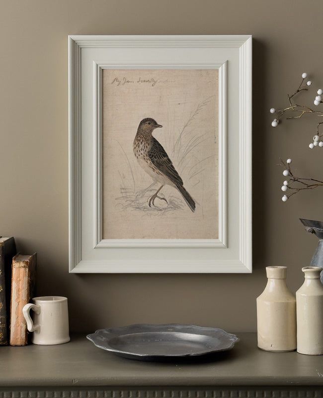Display - Musee Home
